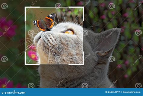 photoshop editing edit tools marquee rectangular crop adjustment layer