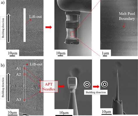 Pfib Was Used To Prepare Tem And Apt Samples From The As Printed Pbf Lb Download Scientific