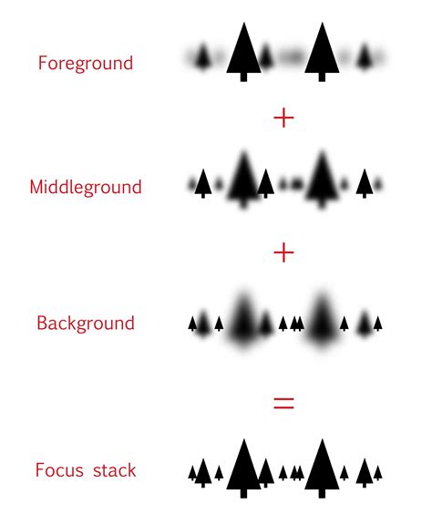 Focus Stacking Tutorial For Landscape Photography