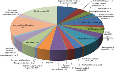 Subsystem Distribution Statistic Of Ochrobactrum Intermedium Strain M86