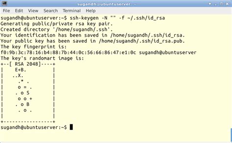 What Is Ssh Key Generation Girlsnew What Is Ssh Key Generation Girlsnew