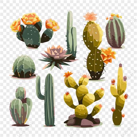 무료 선인장 벡터상표클립 아트만화 Png 일러스트 무료 다운로드 Lovepik