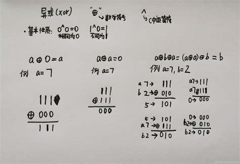 136 只出现一次的数字cc语言 异或 和 快排 解题c 异或只出现一次的数字 Csdn博客