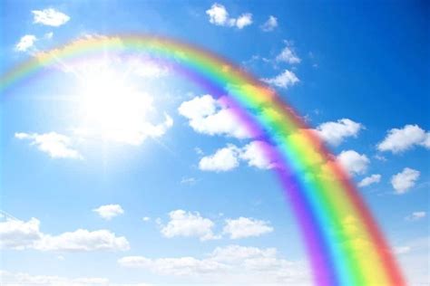 Cuáles Son Los Colores Del Arcoíris Y Cómo Se Forman