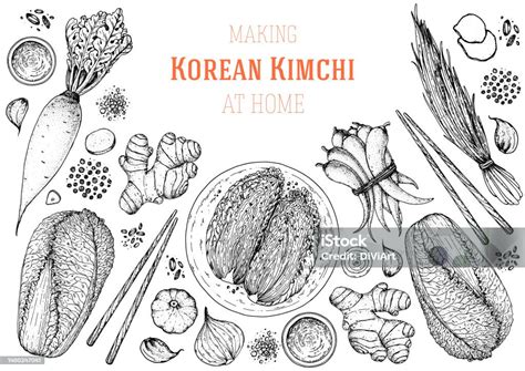 김치 요리와 김치를위한 재료 스케치 일러스트레이션 한국 요리 프레임 건강한 음식 디자인 요소 손으로 그린 패키지 디자인 아시아 음식 김치에 대한 스톡 벡터 아트 및 기타