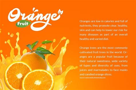 Orange Squash Script Orange Candied Orange Slices Squash