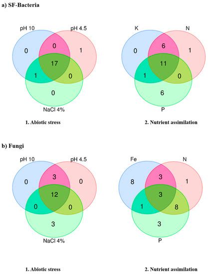 Microorganisms Special Issue Agriculture Related Microorganisms And