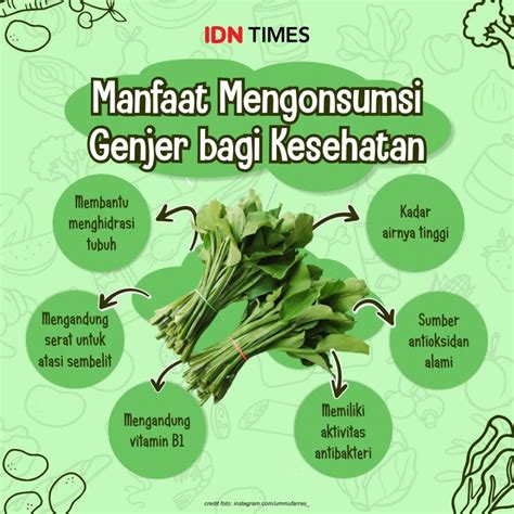 GiziLokal 6 Manfaat Sayur Genjer Bagi Kesehatan