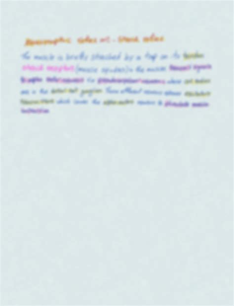 Solution Motor Pathway Descending Tracts Pyramidal Corticospinal And Extrapyramidal Tracts