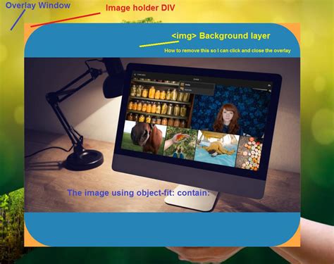 Javascript How To Remove Background Layer Of An When Using Object Fit