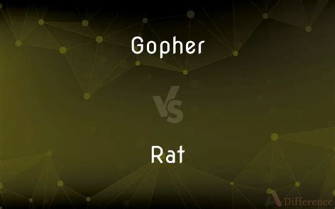 Gopher Vs Rat — Whats The Difference
