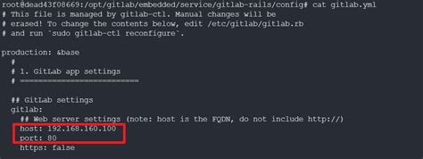 容器化部署gitlab password must not contain commonly used combinatio csdn博客