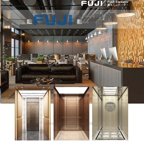 Fuji Passenger Indoor Outdoor Personal Small Villa Home Elevator