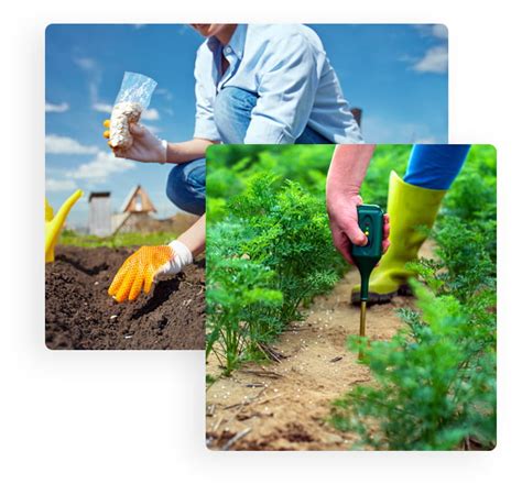 Melbourne Soil Testing Lab Soil Test Service Test Needs