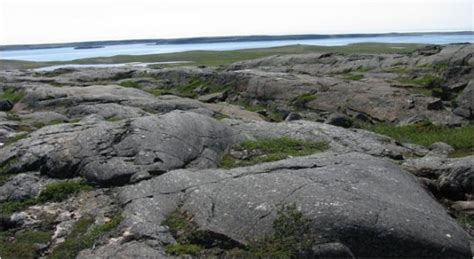 საინტერესო ფაქტები დედამიწის შესახებ