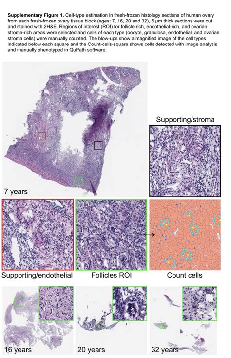 News In Proteomics Research Transcriptomics And Spatial Proteomics By