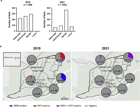 Number Of Ticks Collected In Study Grouped According Life Stage And