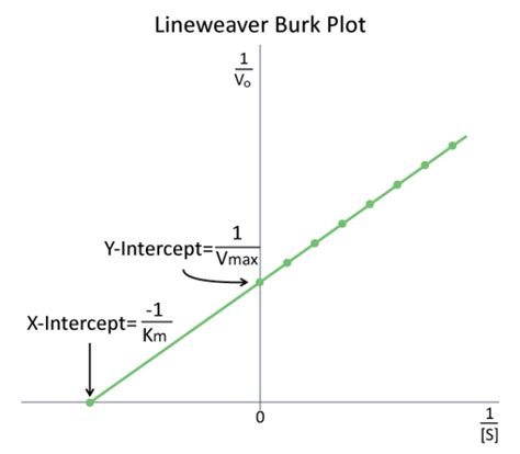 410 Lineweaver Burk Plots Biology Libretexts