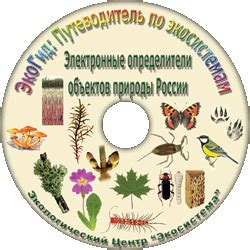 Листья деревьев средней полосы россии. Компьютерный определитель ...