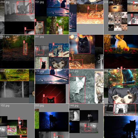 Cat Detector By Flyupworking