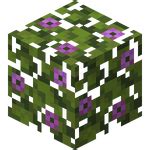Folhas Minecraft Wiki