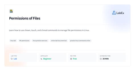 Managing File Permissions In Linux Labex