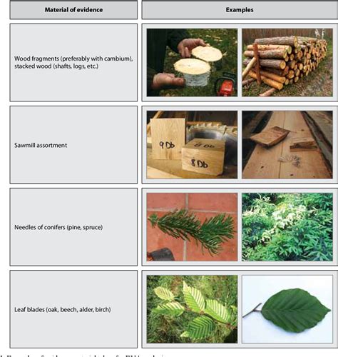 Figure 1 From Application Of Dna Markers Against Illegal Logging As A New Tool For The Forest