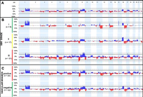 Array Cgh Genomic Profile Exhibiting The Frequency Of Dna Copy Number