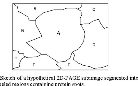 Figure 3 From A Genetic Approach To Spot Detection In Two Dimensional Gel Electrophoresis Images