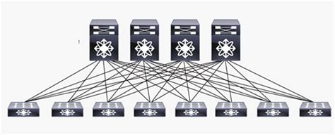Network Topologies And Architectures Online Quiz Networkwalks Academy