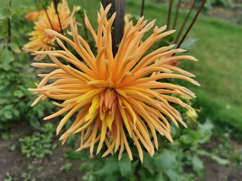 Andrejs Svilāns Andrejs Svilāns Added A New Photo