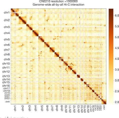 Figure 7 From High Throughput Chromosome Conformation Capture Based Analysis Of Higher Order