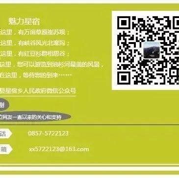 巾帼战疫暖心守护毕节市妇联开通疫情期间心理援助热线 服务 进行 全市