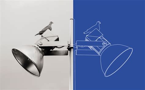 Explainable Deep Neural Networks By Javier Marin Towards Data Science