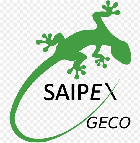 Logotipo De Geico Con Gecko Png Pngwing