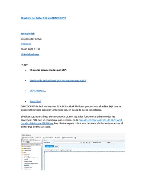 El Peligro Del Editor Sql De Dbacockpit Pdf