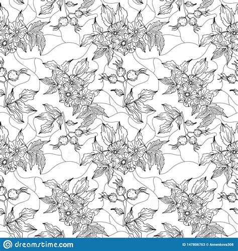 Hand Drawn Doodle Seamless Floral Pattern Stock Vector Illustration