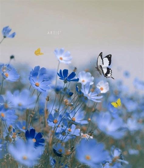 Electronic Structure Of Atoms Flashcards For Class 11 Quizizz