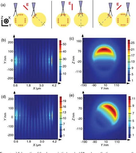 Figure 4 From Polarization Dependent Study On Propagating Surface