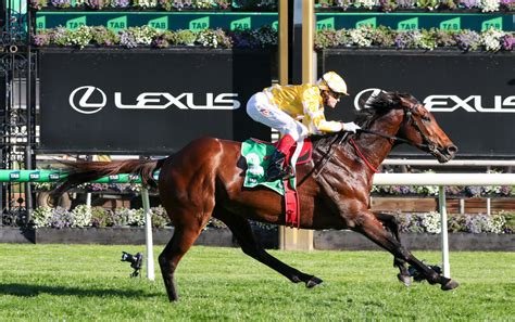 Sir Delius Reigns Supreme In Turnbull Stakes Just Horse Racing