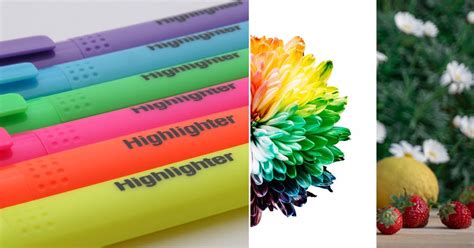 List Pandas Curated By Sabine Medium