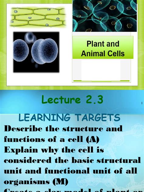 Science 7 Module 2 3 Cell Structure 2 Pdf Cell Biology