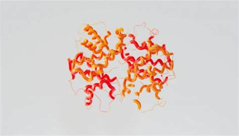 🥇 Image Of Dna Structure 【free Photo】 100037955