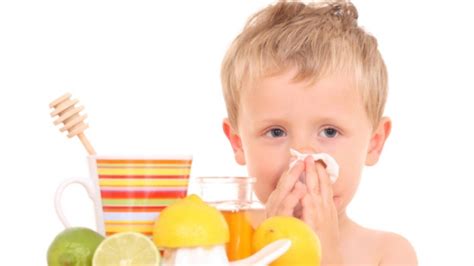 Силен имунитет с достъпни природни средства Edna Bg