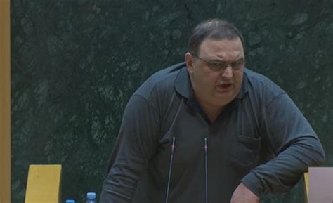 “ქართველობისთვის კი არა „გრუზინობისთვის“ იბრძვიან რა იცის ღარიბაშვილმა მისმა ბელადმა