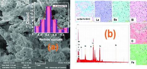 A Sem Image And Histogram Plot For Particle Size Distribution Of