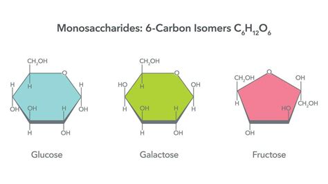 Monosaccharide Diagram