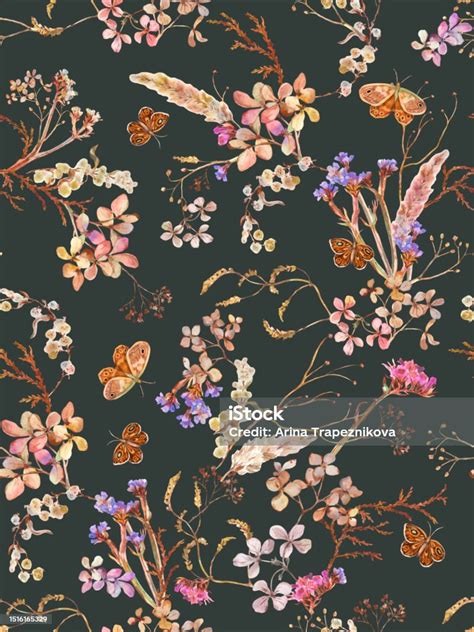 말린 꽃과 나비가 수채화로 그려진 꽃무늬 이음새가 없는 패턴 벽지 야생화와 허브가 있는 직물을 위한 수채화 인쇄 0명에 대한 스톡 벡터 아트 및 기타 이미지 Istock