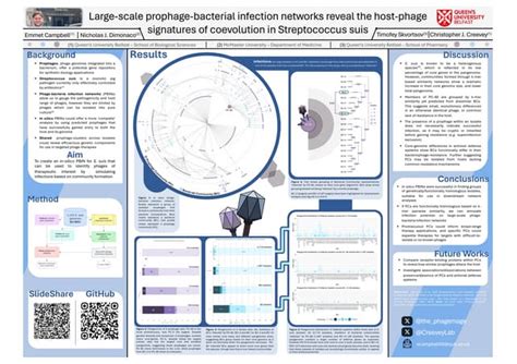 Large Scale Prophage Bacterial Infection Networks Reveal The Host Phage Signatures Of