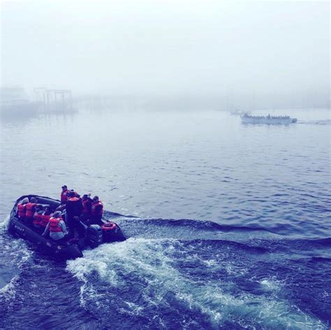 Remotemonitoring Fieldwork Ai Robotics Solvehardthings Sampriti